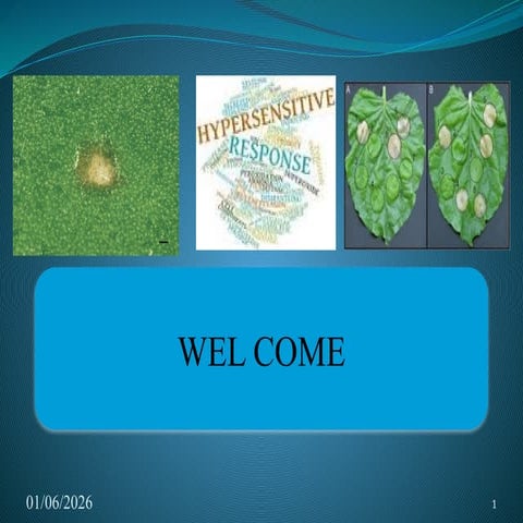 HYPERSENSITIVE RESPONSE IN PLANTS AGAINST THE PATHOGENS | PPTX