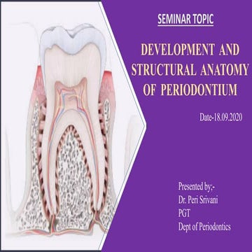 Clinical Periodontology - Introduction & Anatomy | PDF