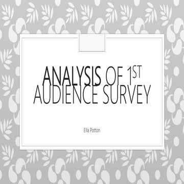 Audience profiling | PPTX
