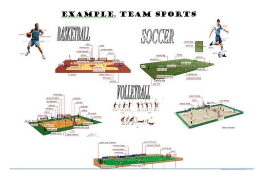 1 st year infographics team sports | PPT
