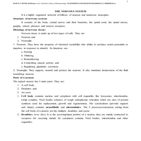 1 the nervous system | PDF