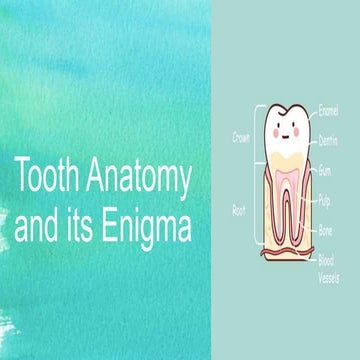 Tooth anatomy and its enigma.pptx