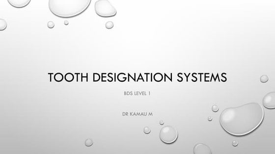 Tooth numbering system | PPTX | Dental Health | Diseases and Conditions