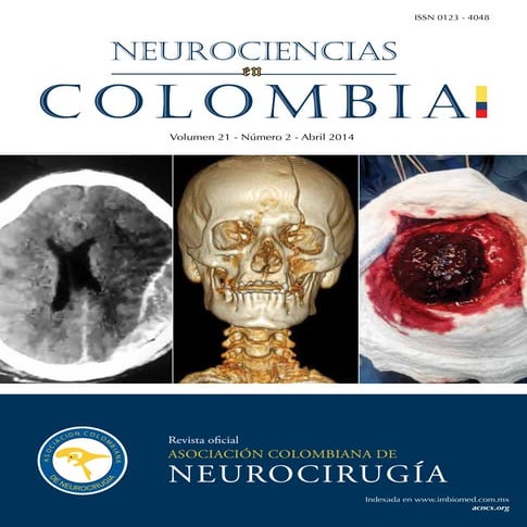 Revista Peruana de Neurocirugía | PDF