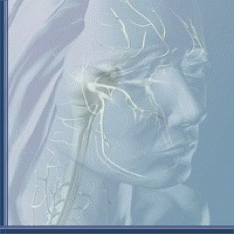 "The Trigeminal Nerve: Anatomy, Function, Clinical Significance, and ...