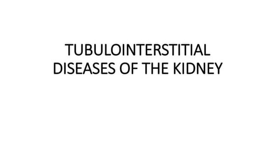 Tubular_Interstitial_Nephritis_Text_Only.pptx