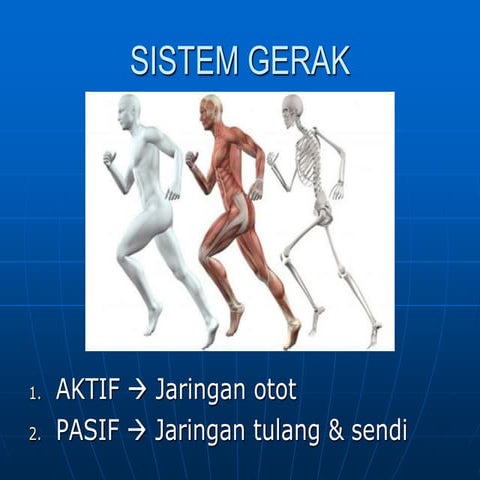 1 Tulang Otot Dan Sendipptx