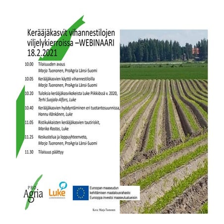 Kerääjäkasvien käyttö vihannestiloille, Marja Tuononen, webinaari ...