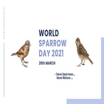 Save sparrow ppt Bhadrachalam | PPT