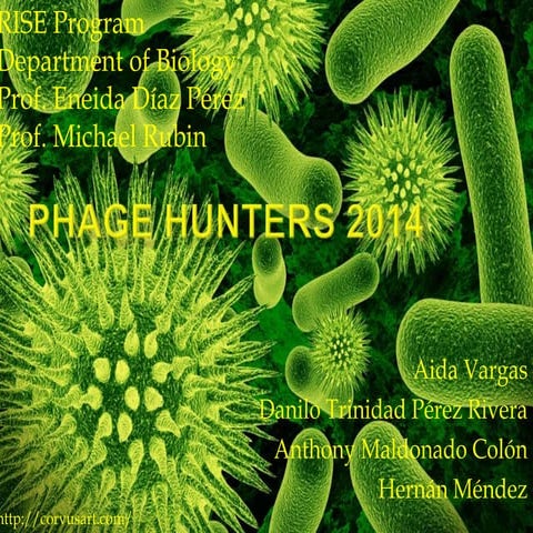 Phage hunters 2014 | PPTX