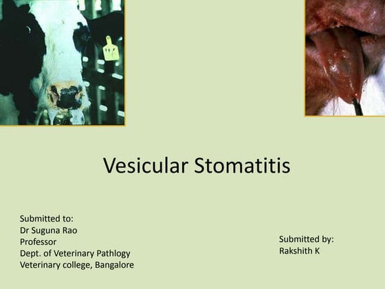Veterinary important Protozoans with important information | PPT