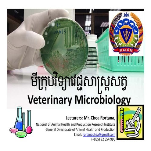 1 week introduction vet micro | PPT