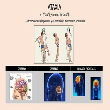 1 y 2 ataxia | PPTX