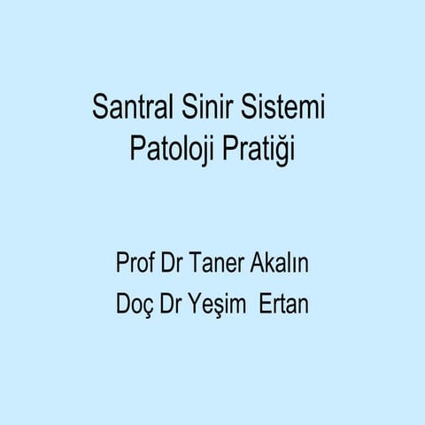 1)yeşim ertan e4 b3 pratik | PPT