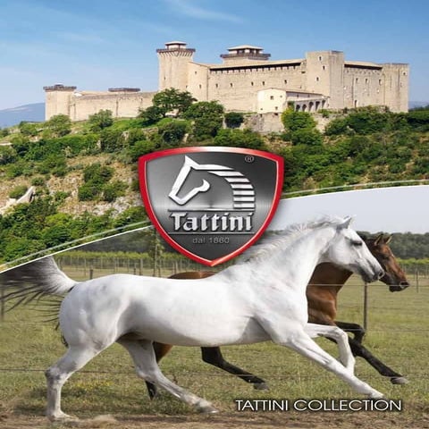 Catalogo Tattini 2015 abbligliamento da equitazione articoli ed ...