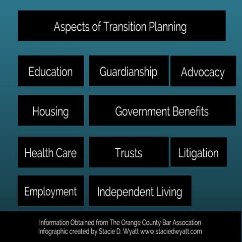 Aspects of Transition Planning | PDF