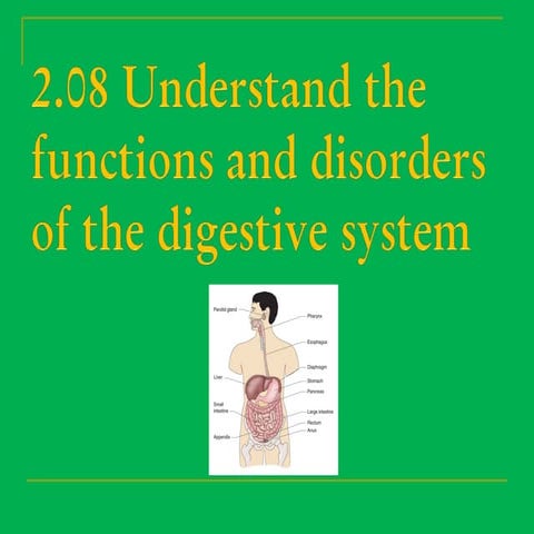 Functions & Disorders of the Digestive System | PPT