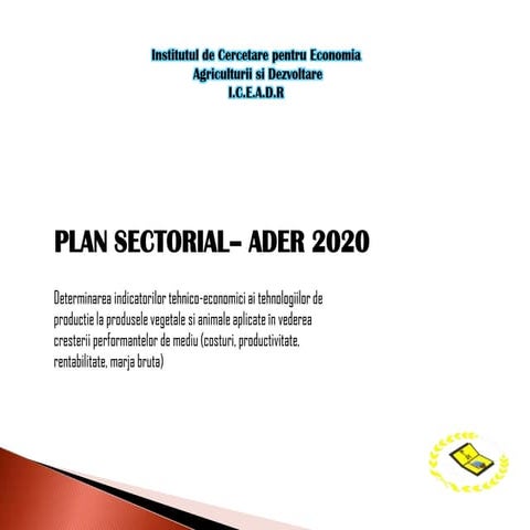 Ppt licenta final | PPTX