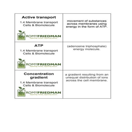 Active Transport Vs Passive Transport Venn Diagram
