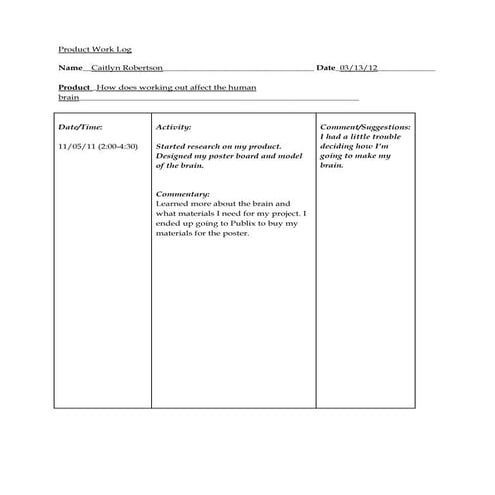Product Work Log | DOCX