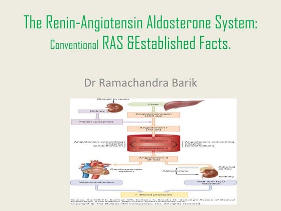 Renin Angiotensin Aldosterone System (RAAS).pptx