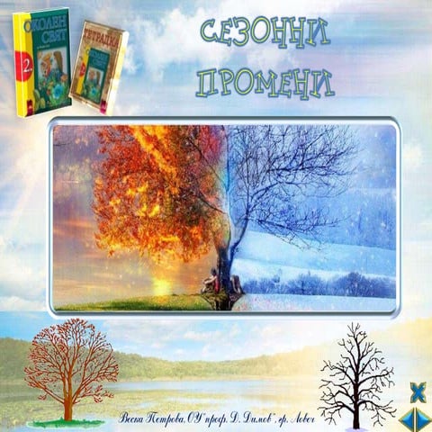 Коледна презентация на мери | PPT