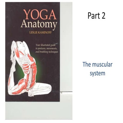 yoga anatomy-part2 | PPTX | Death, Injury, or Military Conflict ...