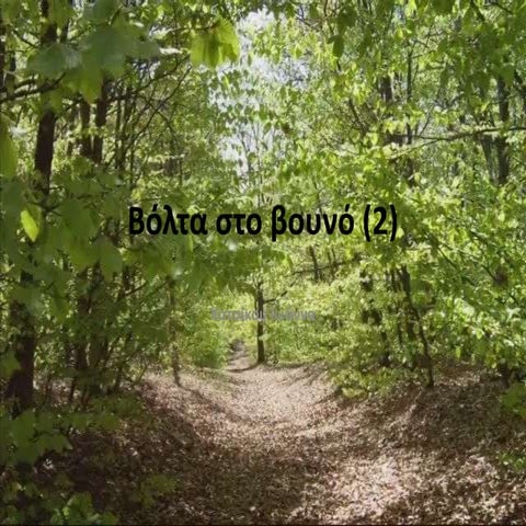 βόλτα στο βουνό (2) | PPTX