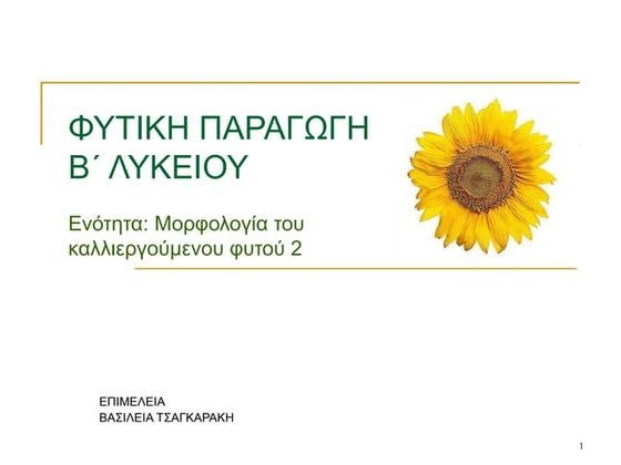 Διδακτικοί στόχοι & διδασκαλία | PDF