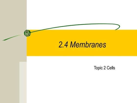 Cell membrane ppt | PPTX