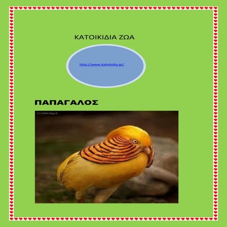 κατοικιδια ζωα | PDF
