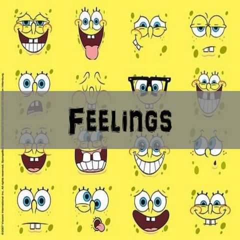 2.5 feelings | PDF
