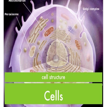The Cell | PPT