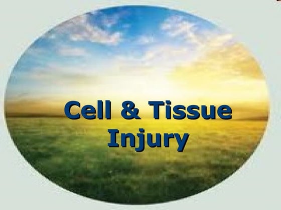 Cell injury, Etiology, Pathogenesis, & Morphology of cell Injury | PPTX