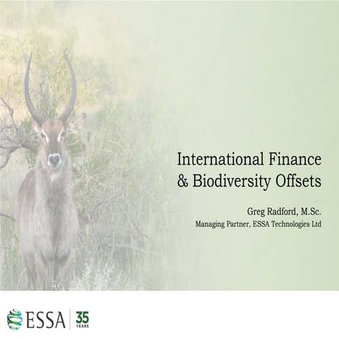 International Finance & Biodiversity Offsets | PDF