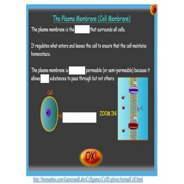 Cell city worksheet | DOCX