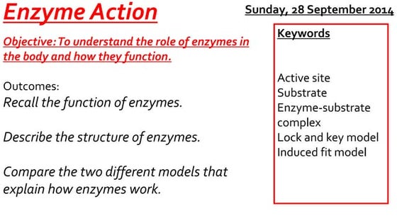 Enzyme action | PPT