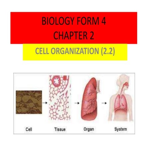 BIOLOGY FORM 4 CHAPTER 2 PART 2 - CELL ORGANIZATION | PPTX