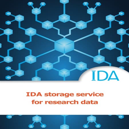 IDA Brochure in English | PDF