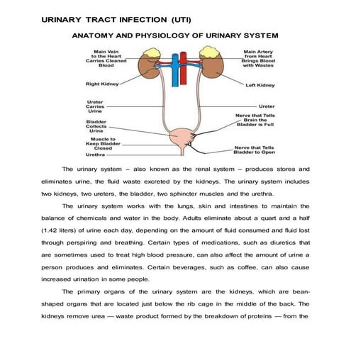 Urinary Tract Infection | PDF