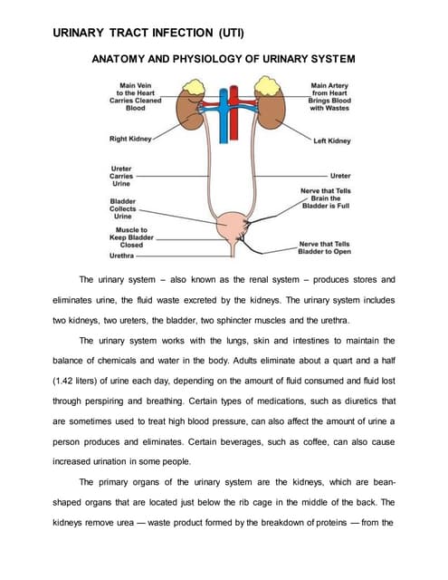 Pathology of urinary system | PPT