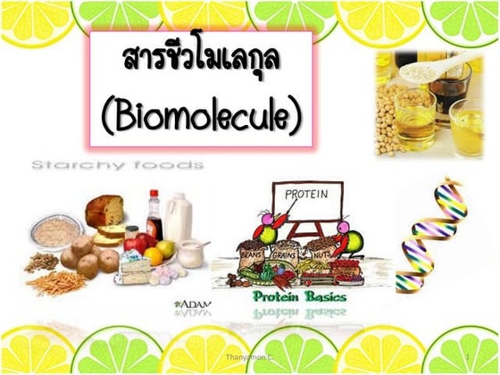 รหัสประจำจังหวัด อ้างอิงกระทรวงมหาดไทยForm mr3 | PPT