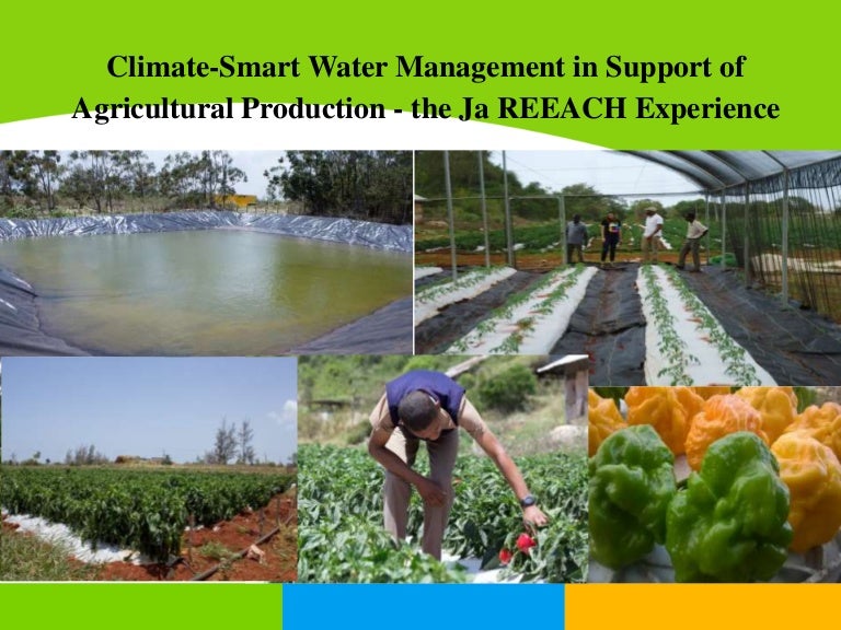 Agricultural Water Management