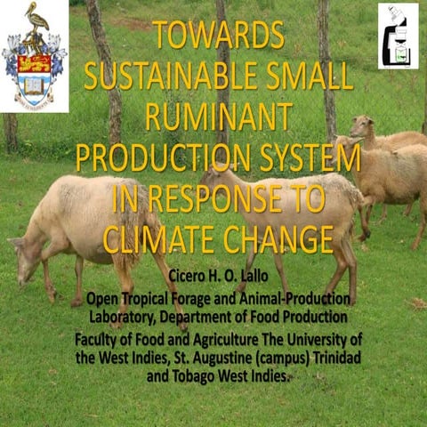 Towards Sustainable Small Ruminant Production System in Response to ...