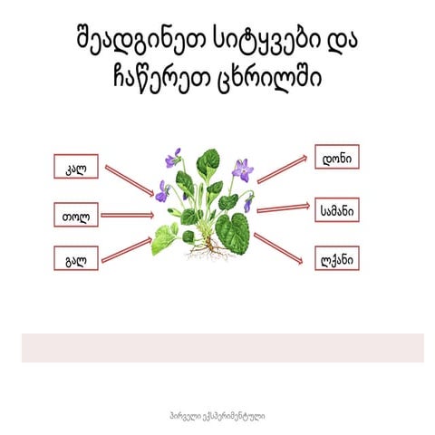 ქართული 2 | PPT