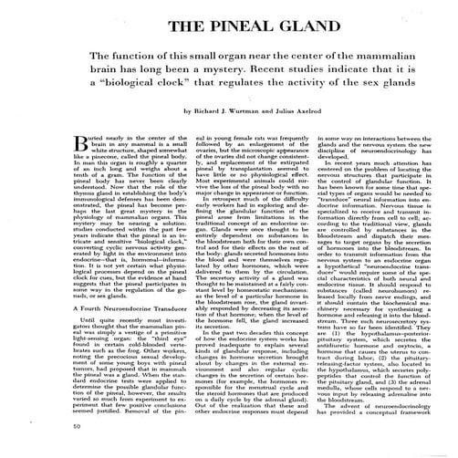 Anatomy of Pineal Gland | PPTX
