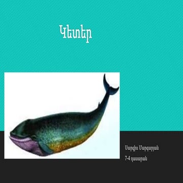 ներկայացում2 | PPTX