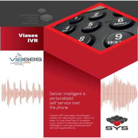 Viases IVR | PDF