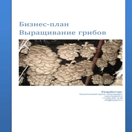 Шаблон бизнес-плана разведения грибов | PDF