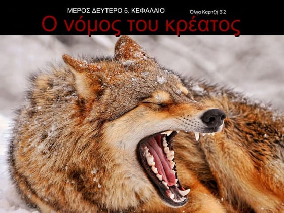 Αρχαία Α΄Γυμνασίου, ενότητα 6 | PDF